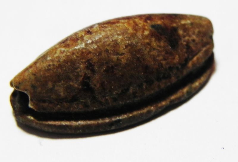 ANCIENT EGYPT, NEW KINGDOM. STONE SEAL BEAD. 1400 B.C