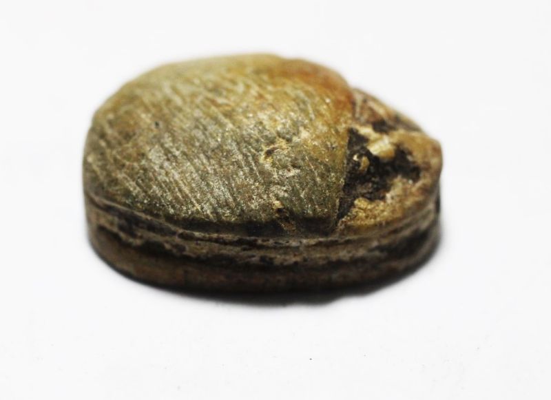 ANCIENT EGYPT. STONE SCARAB. NEW KINGDOM. 1400 B.C