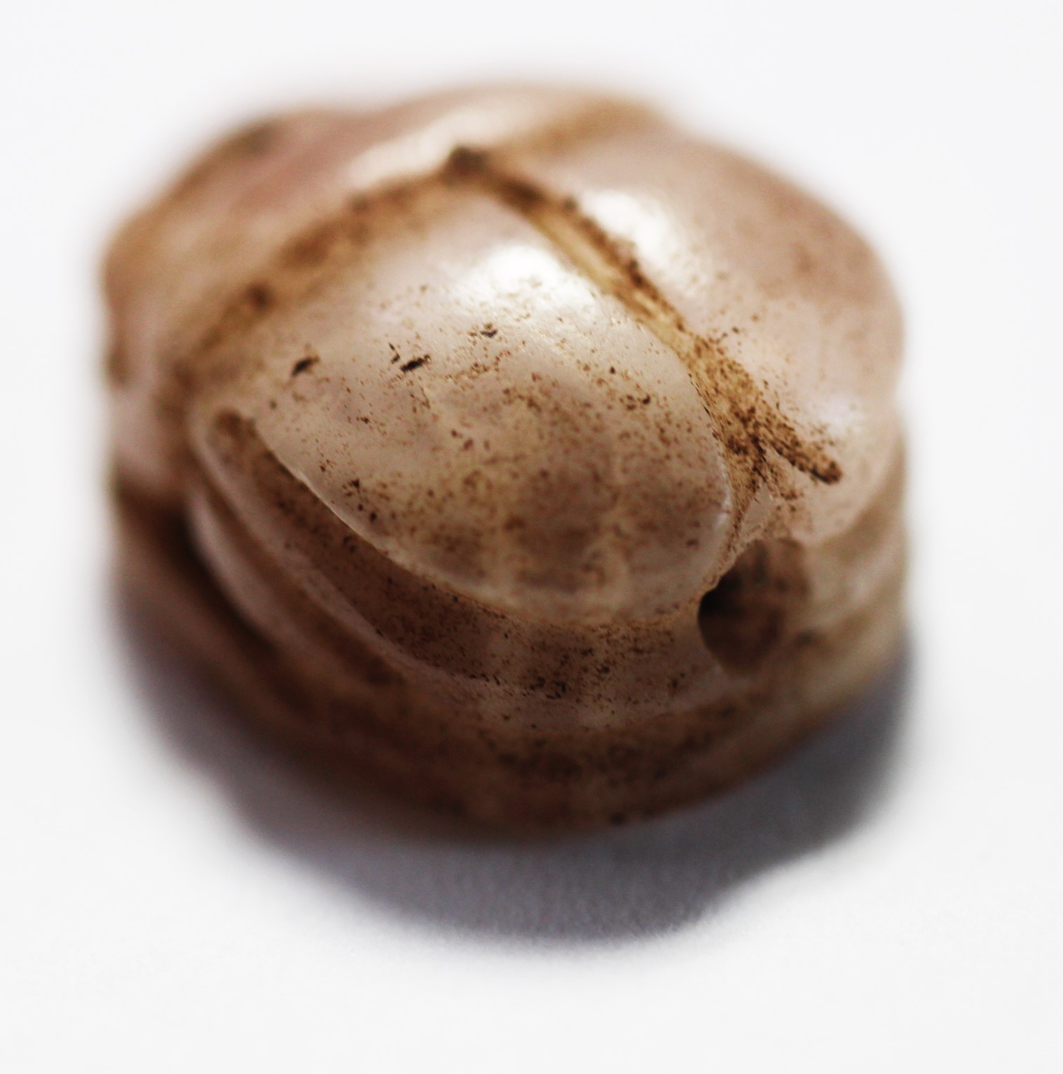 Acropolo. ANCIENT EGYPT. NEW KINGDOM STONE SCARAB 1400 - 1200 B.C. EYE ...