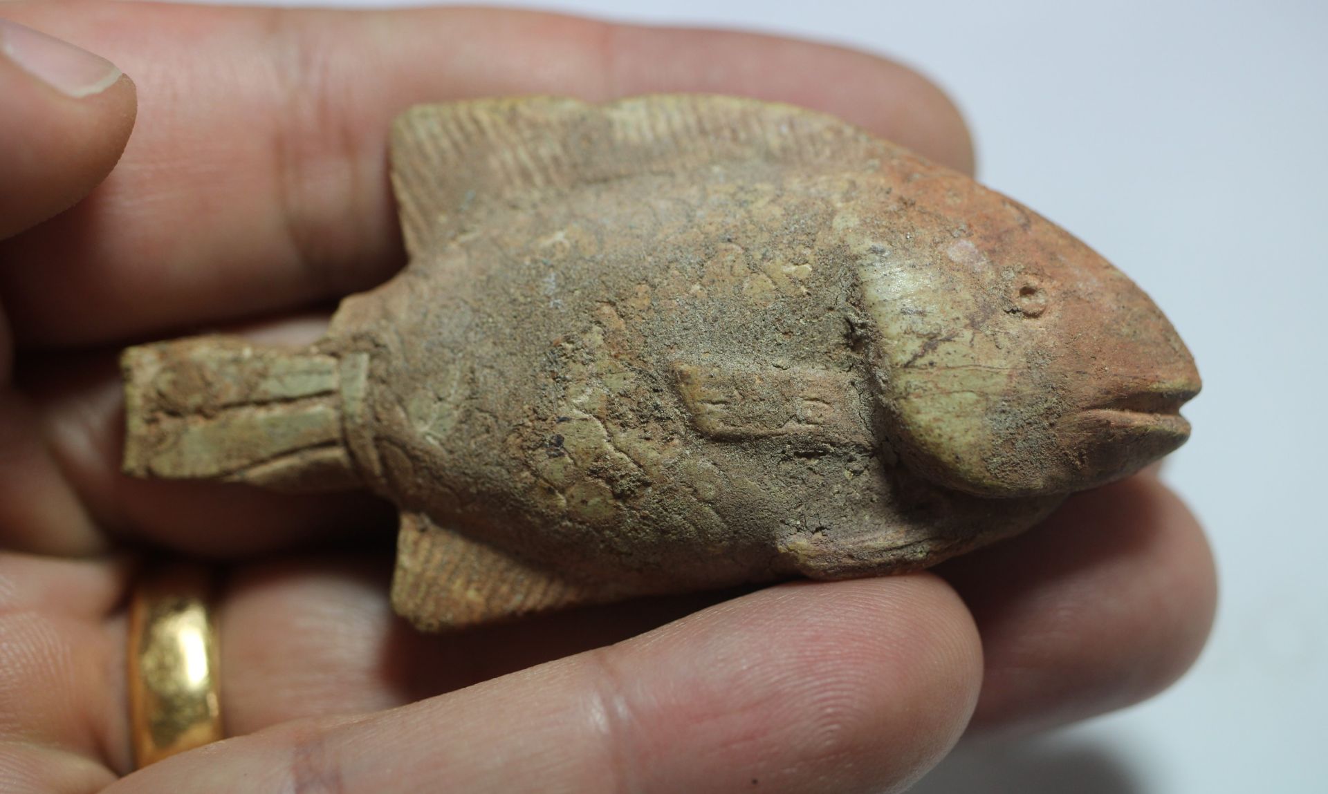 ANCIENT EGYPT. NEW KINGDOM PAINTED CLAY TILAPIA FISH. 1390-1336 B.C