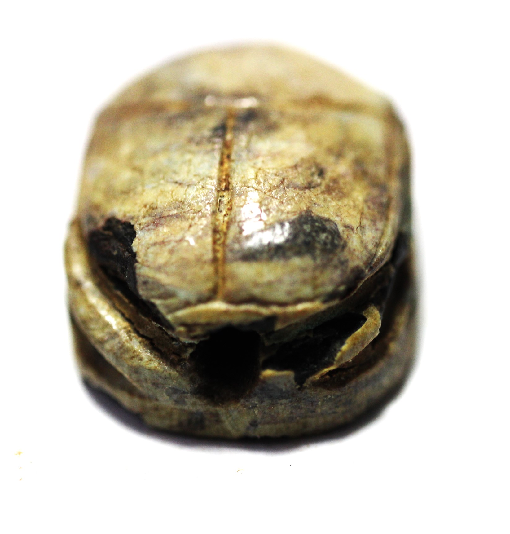 ANCIENT EGYPT. STONE SCARAB. NEW KINGDOM 14TH - 13TH CENTURY B.C