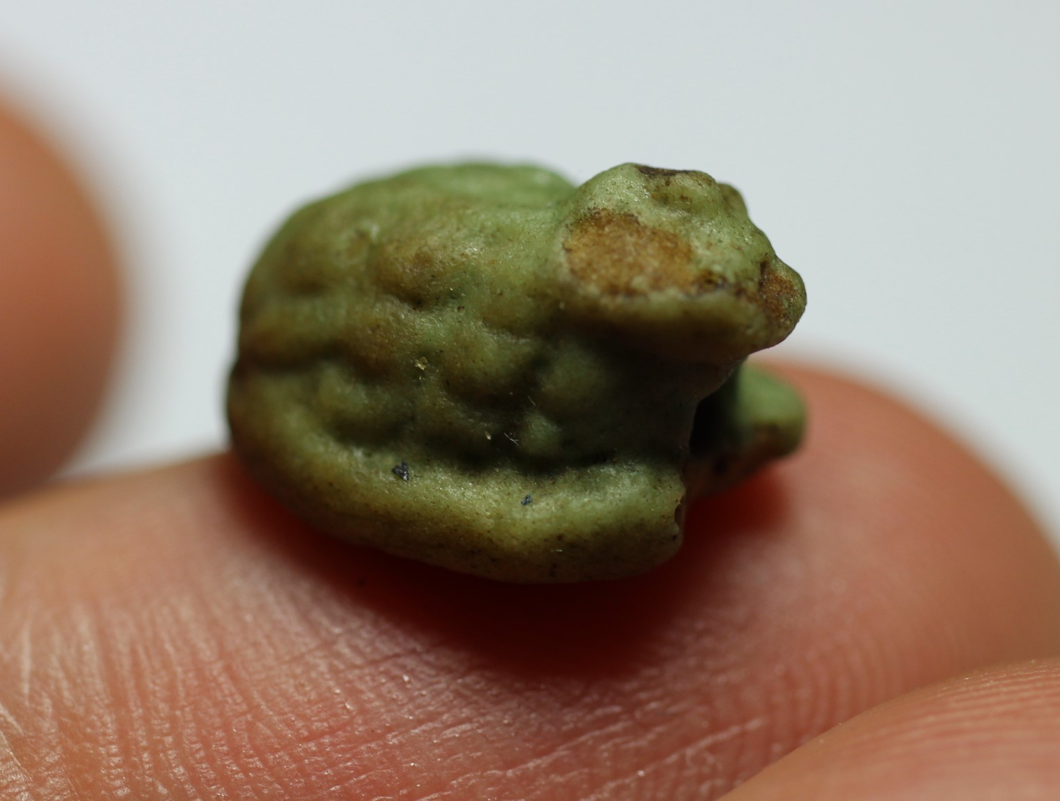 ANCIENT EGYPT, NEW KINGDOM FAIENCE FROG SHAPED SCARABOID. 14TH CENTURY BC