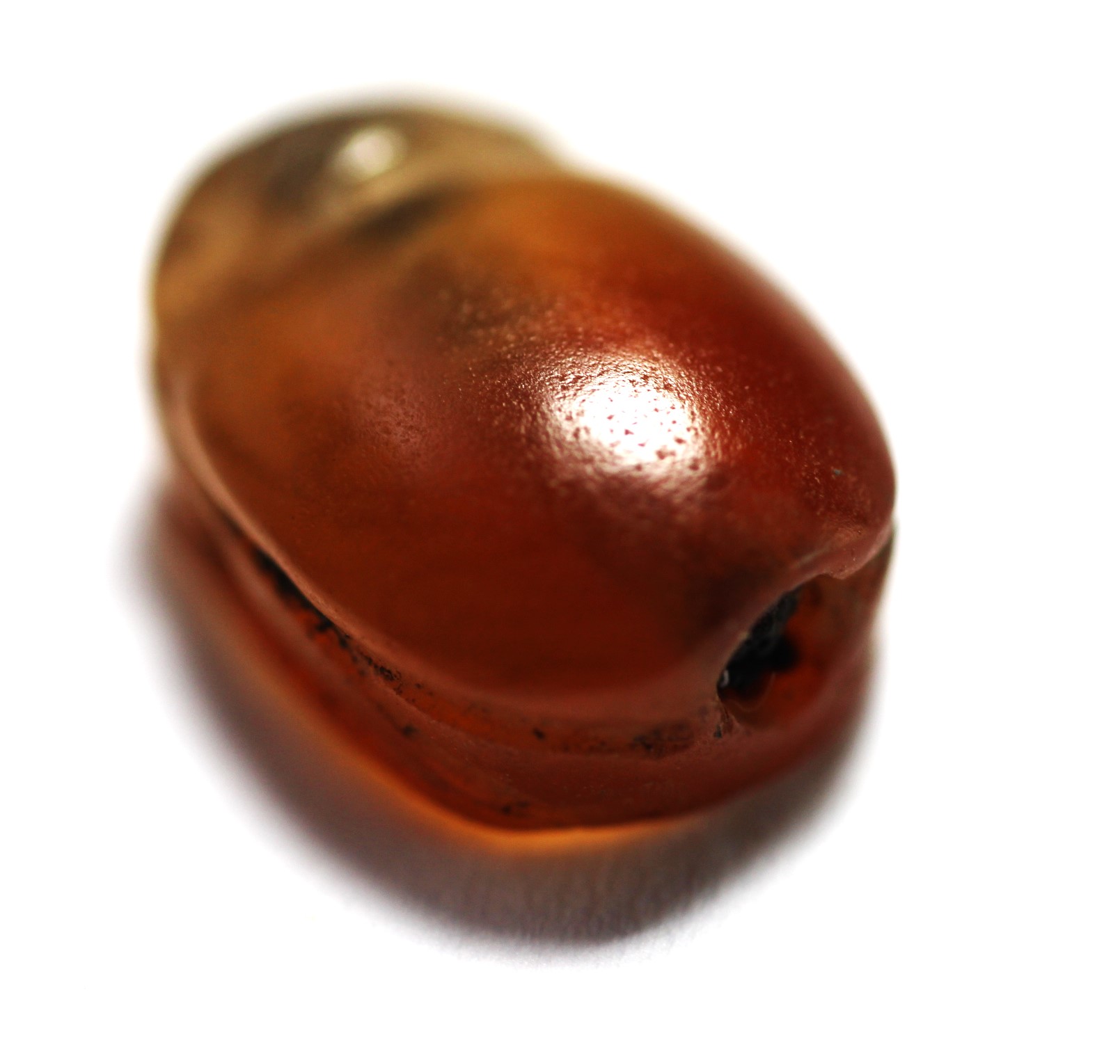 ANCIENT EGYPT - BEAUTIFUL CARNELIAN STONE SCARAB. NEW KINGDOM .1400 B.C.