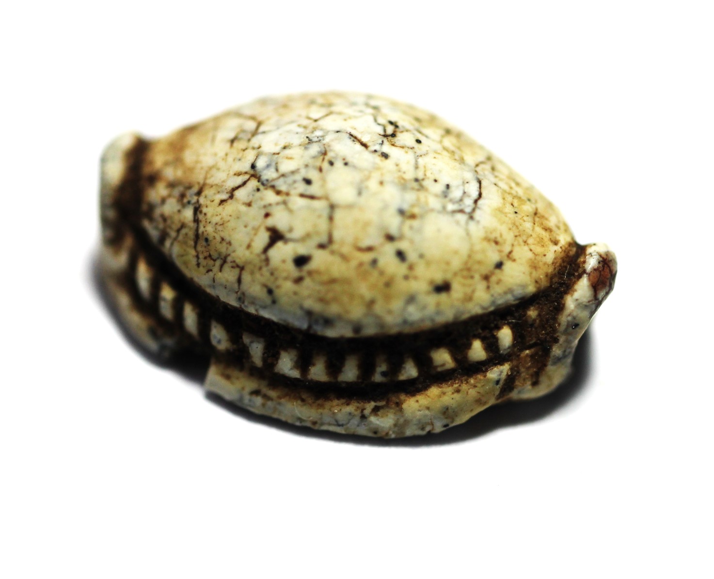 ANCIENT EGYPT. STONE SCARAB. NEW KINGDOM. 1400 B.C