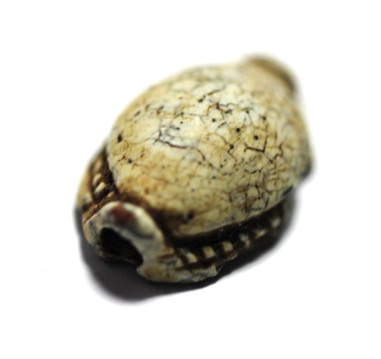 ANCIENT EGYPT. STONE SCARAB. NEW KINGDOM. 1400 B.C