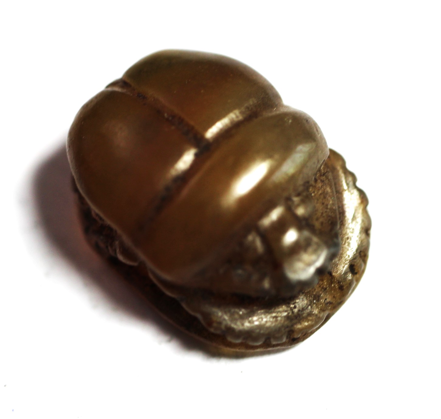 ANCIENT EGYPT. NEW KINGDOM STONE SCARAB. 1300 B.C LOTUS FLOWERS
