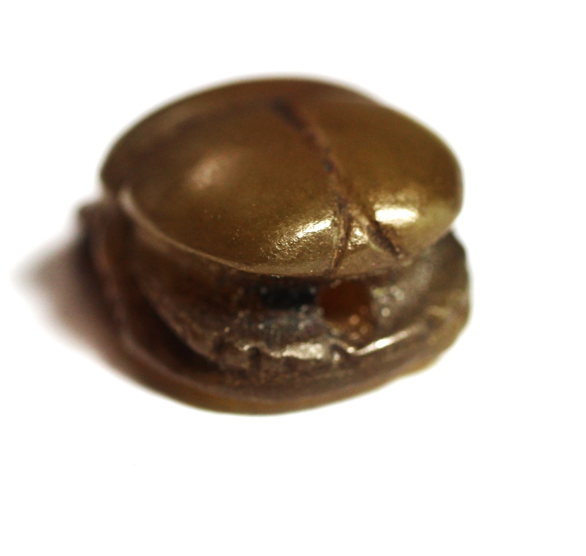 ANCIENT EGYPT. NEW KINGDOM STONE SCARAB. 1300 B.C LOTUS FLOWERS