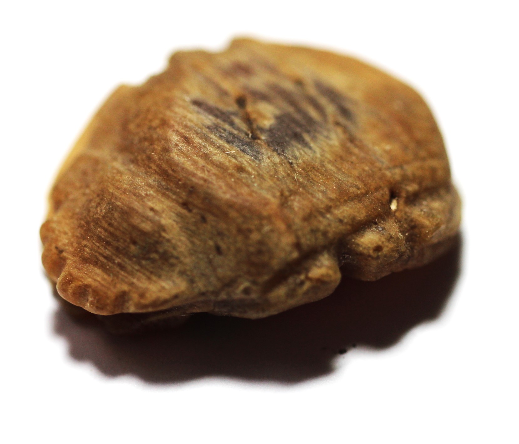 ANCIENT EGYPT. NEW KINGDOM STONE SCARAB. 1400 - 1200 B.C