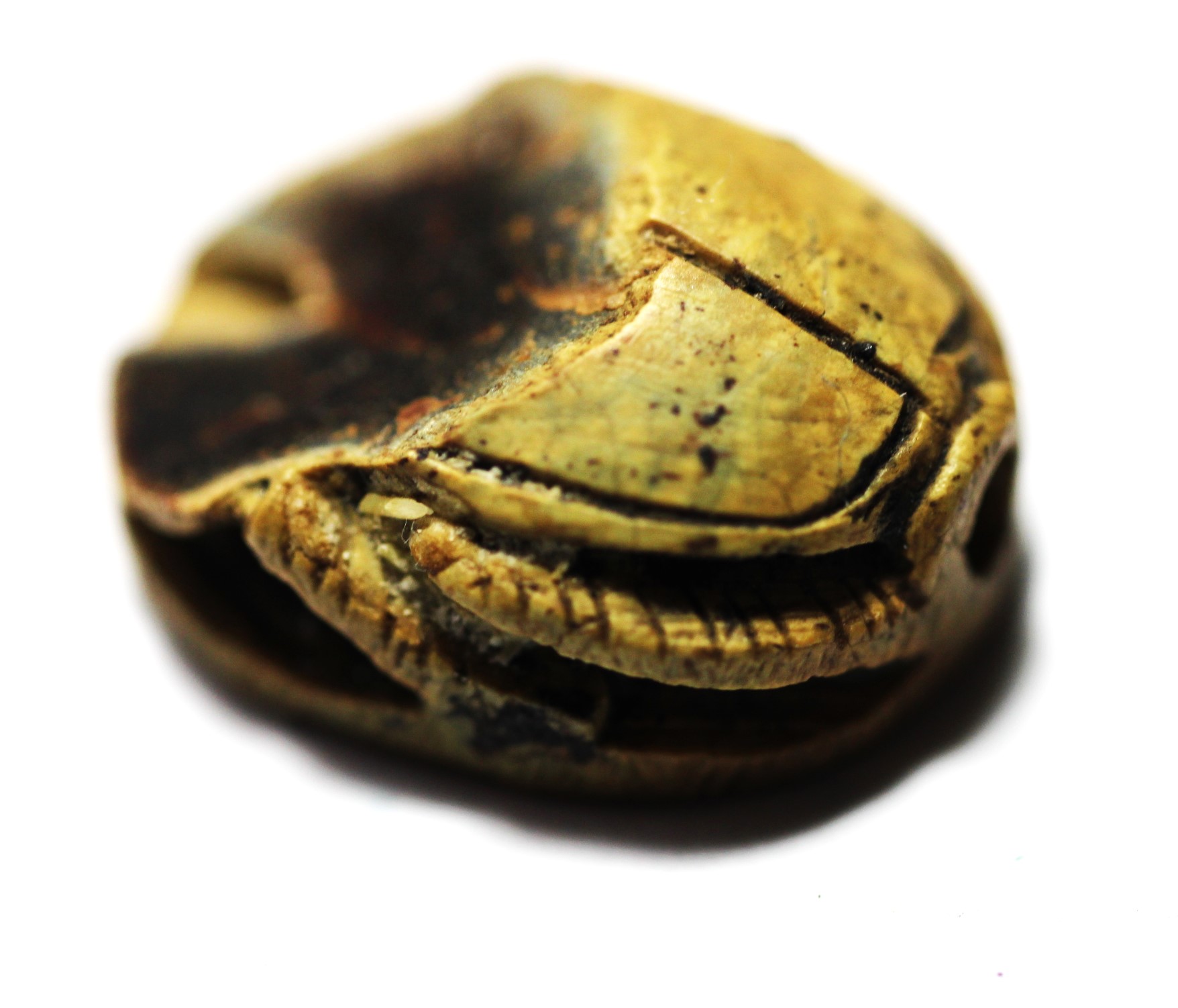 ANCIENT EGYPT. NEW KINGDOM STONE SCARAB. 13TH B.C. THUTMOSE III NAME