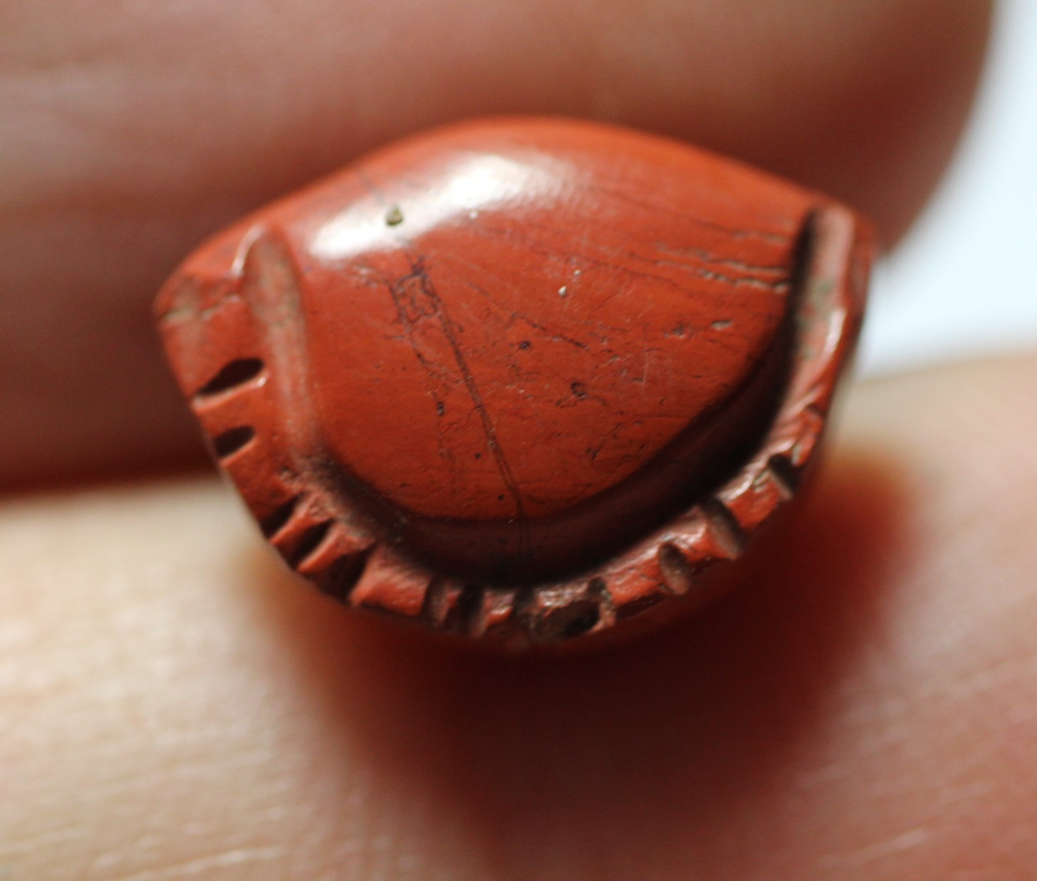 ANCIENT EGYPT. RED JASPER SEA SHELL AMULET. 1250 B.C