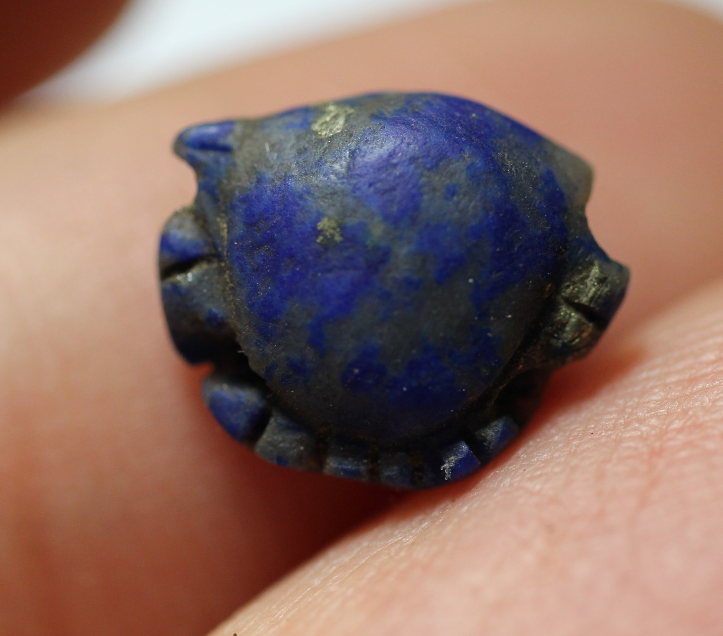 ANCIENT EGYPT. LAPIS LAZULI SEA SHELL AMULET. 1250 B.C