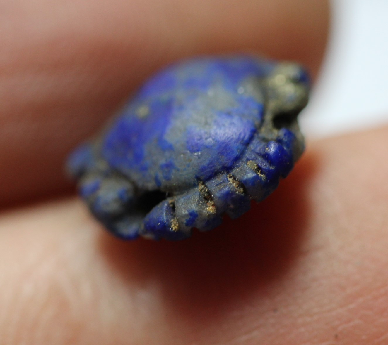 ANCIENT EGYPT. LAPIS LAZULI SEA SHELL AMULET. 1250 B.C