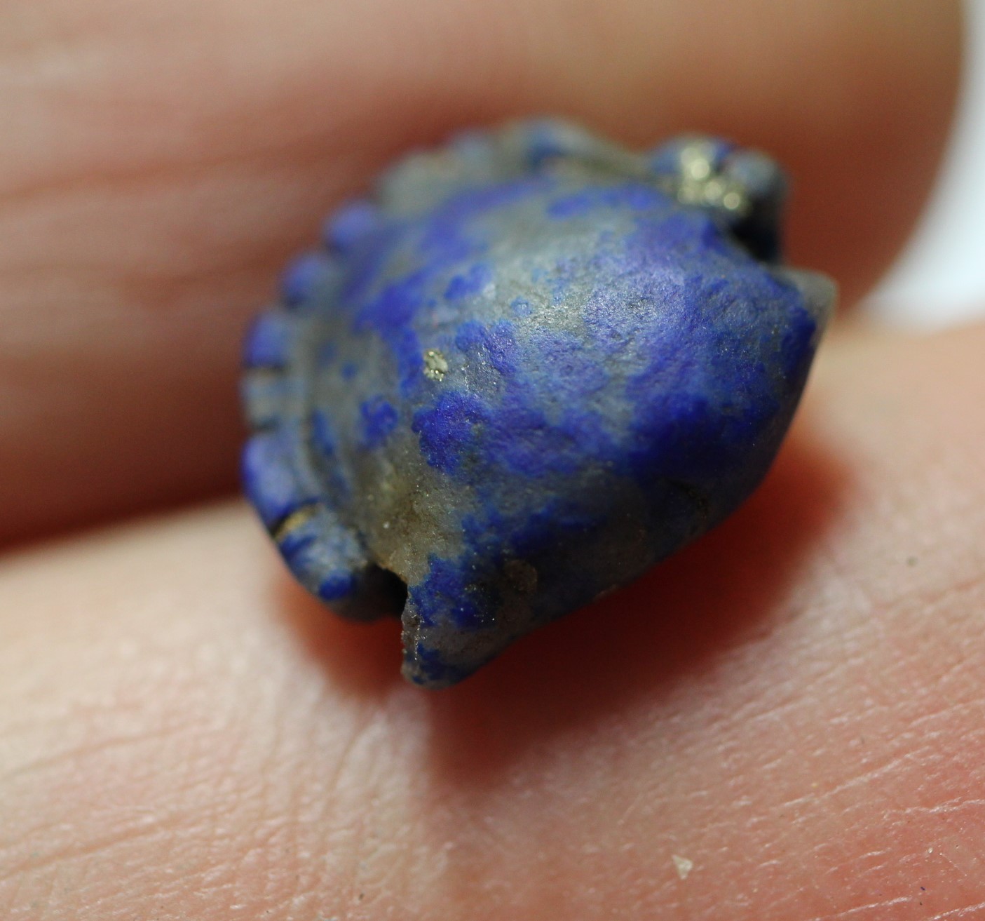 ANCIENT EGYPT. LAPIS LAZULI SEA SHELL AMULET. 1250 B.C