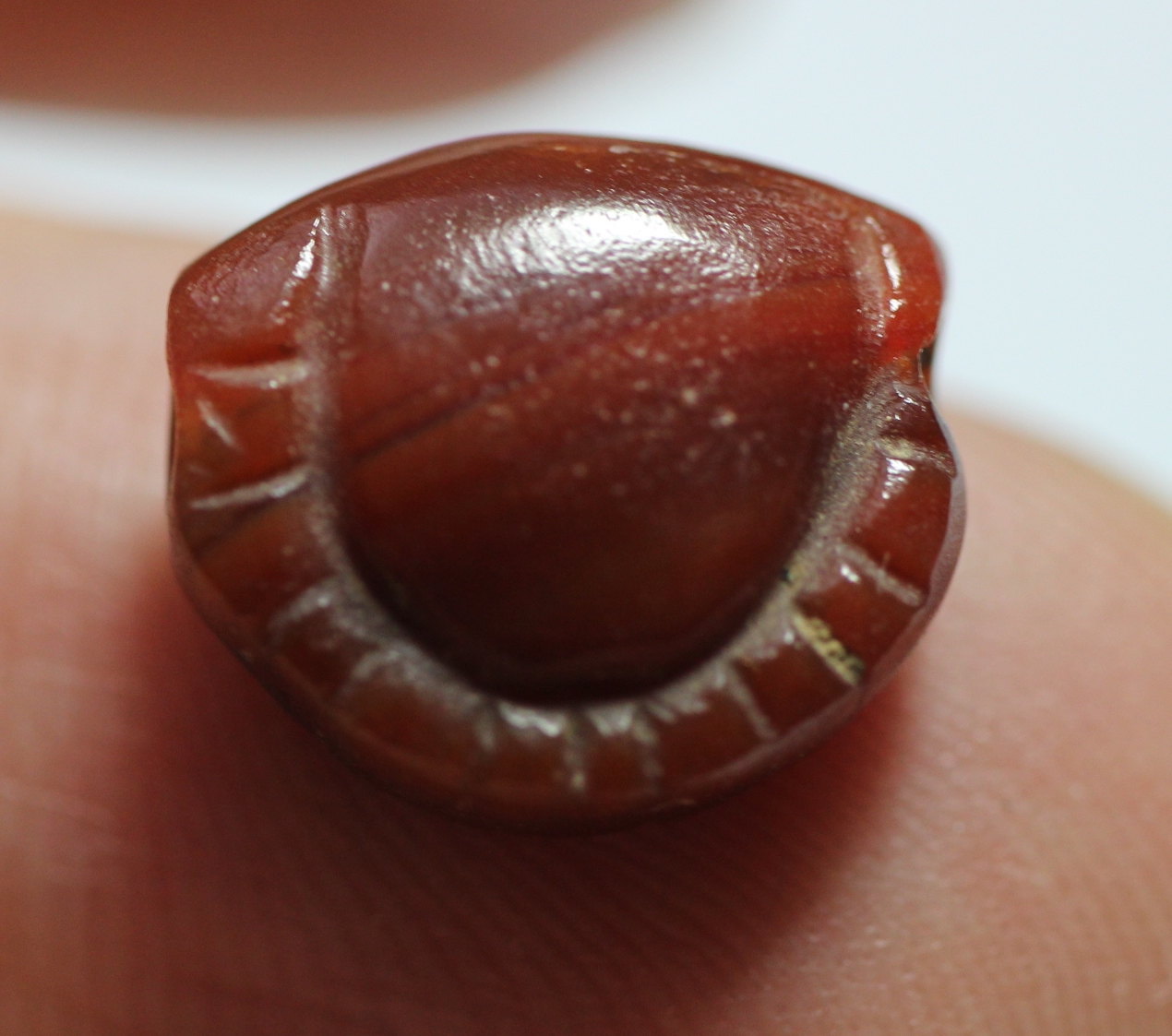 ANCIENT EGYPT. CARNELIAN SEA SHELL AMULET. 1250 B.C