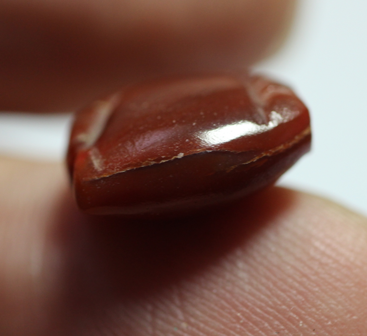 ANCIENT EGYPT. CARNELIAN SEA SHELL AMULET. 1250 B.C