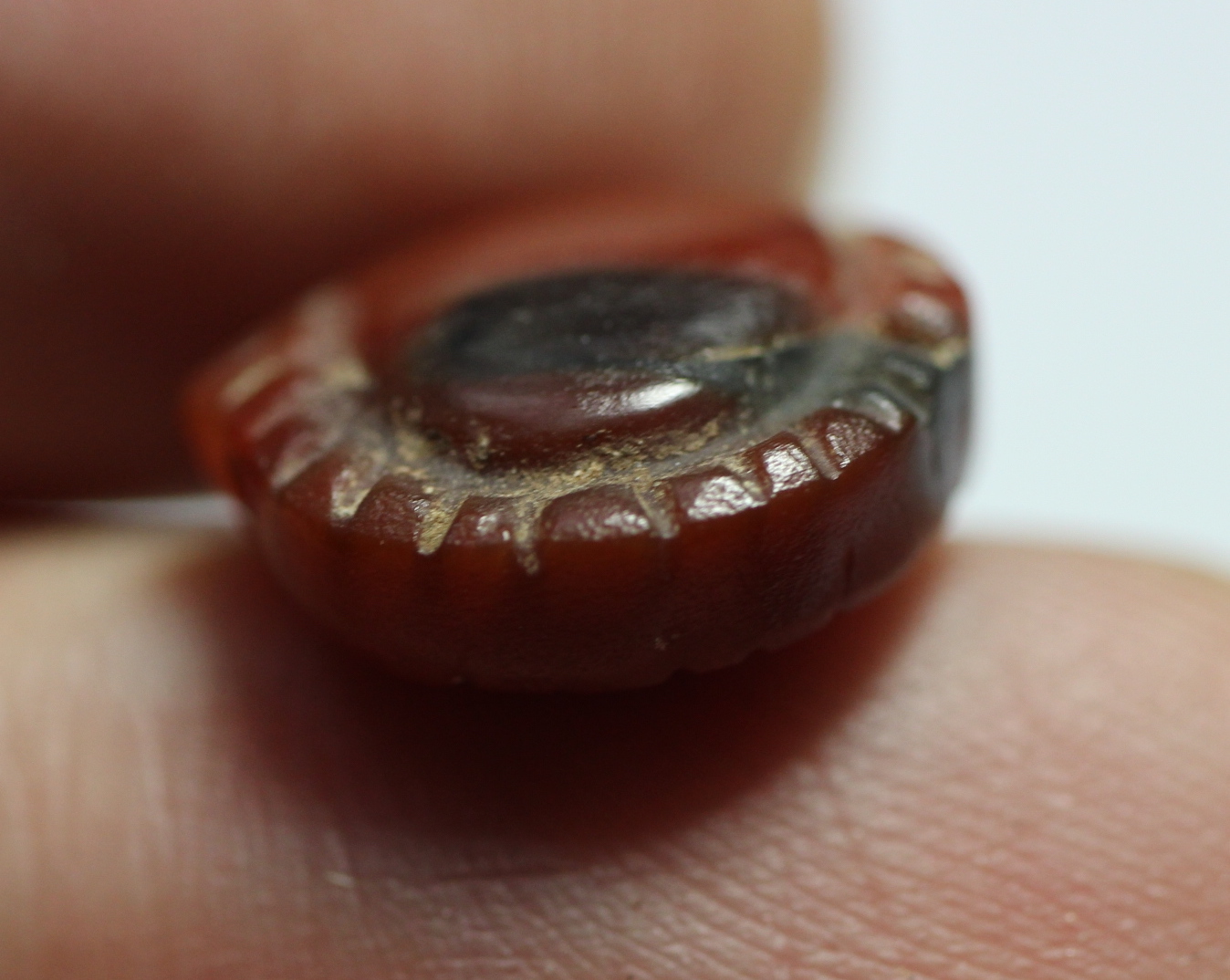 ANCIENT EGYPT. CARNELIAN SEA SHELL AMULET. 1250 B.C