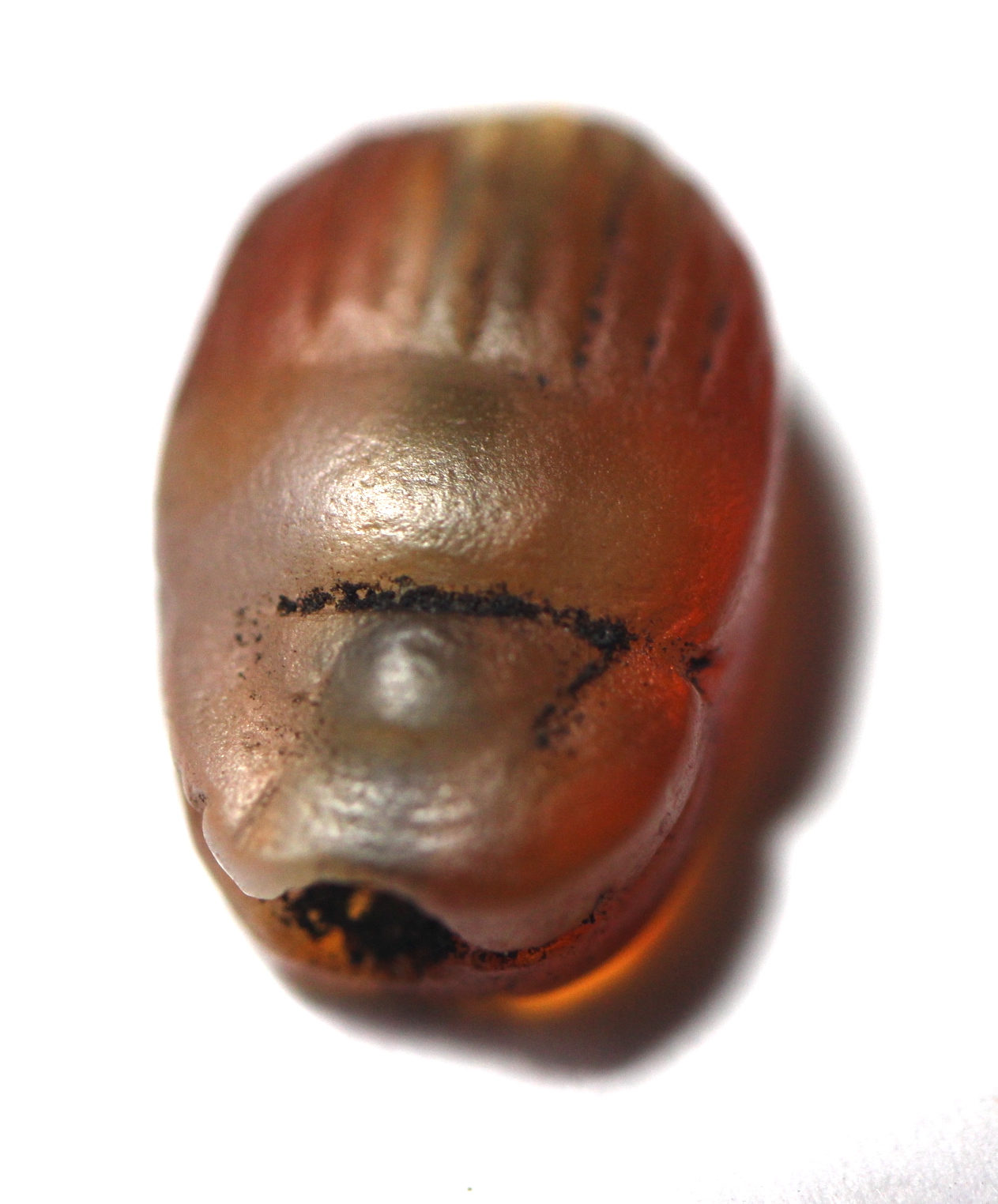 ANCIENT EGYPT. NEW KINGDOM STONE SCARAB. 1300 B.C