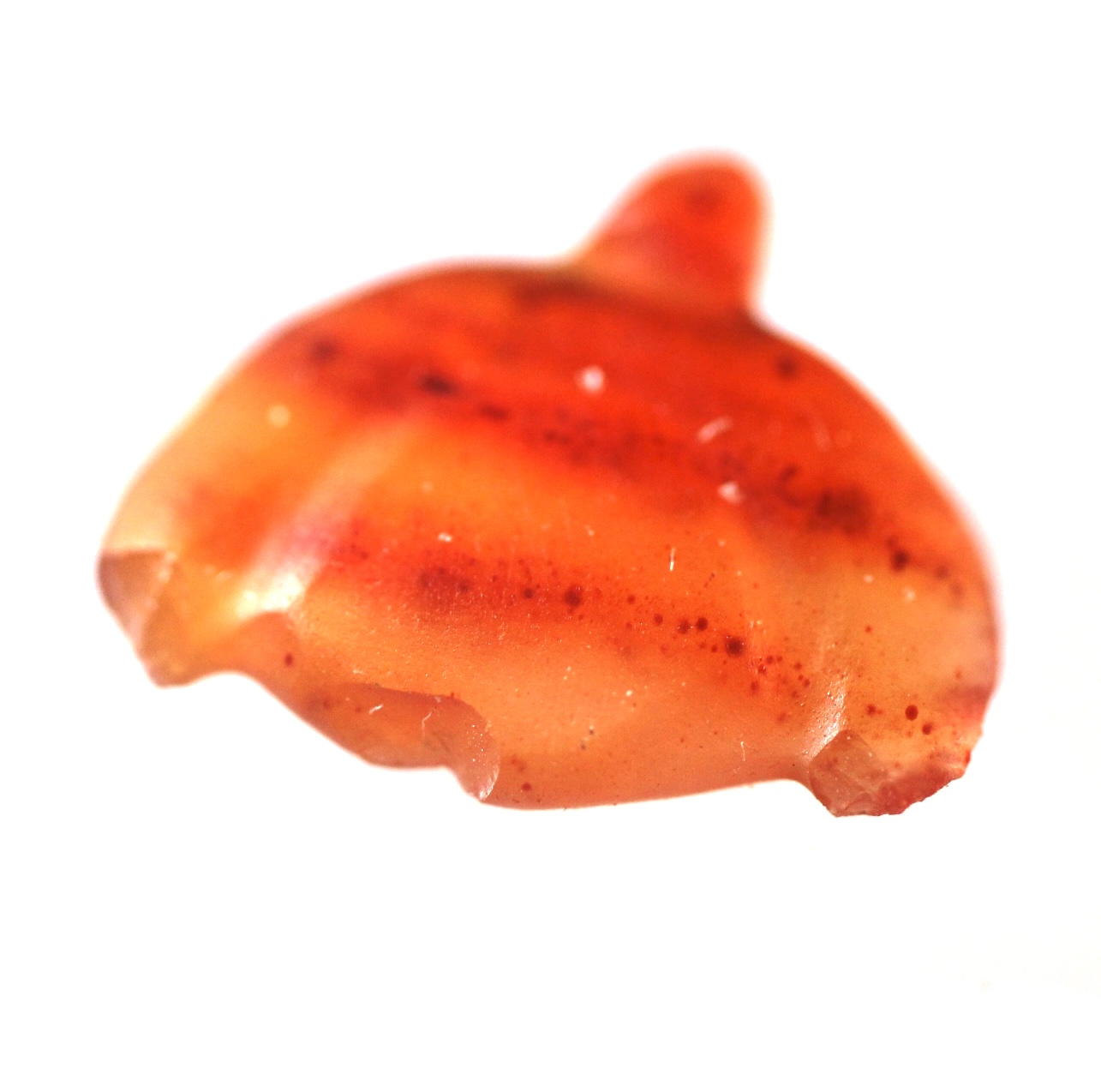 ANCIENT EGYPT. CARNELIAN LUNAR DISC AMULET. 1300 B.C