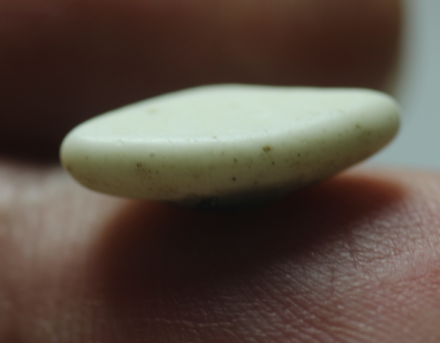 Acropolo. ANCIENT EGYPT. GLASS EYE INLAY. 600 - 300 B.C