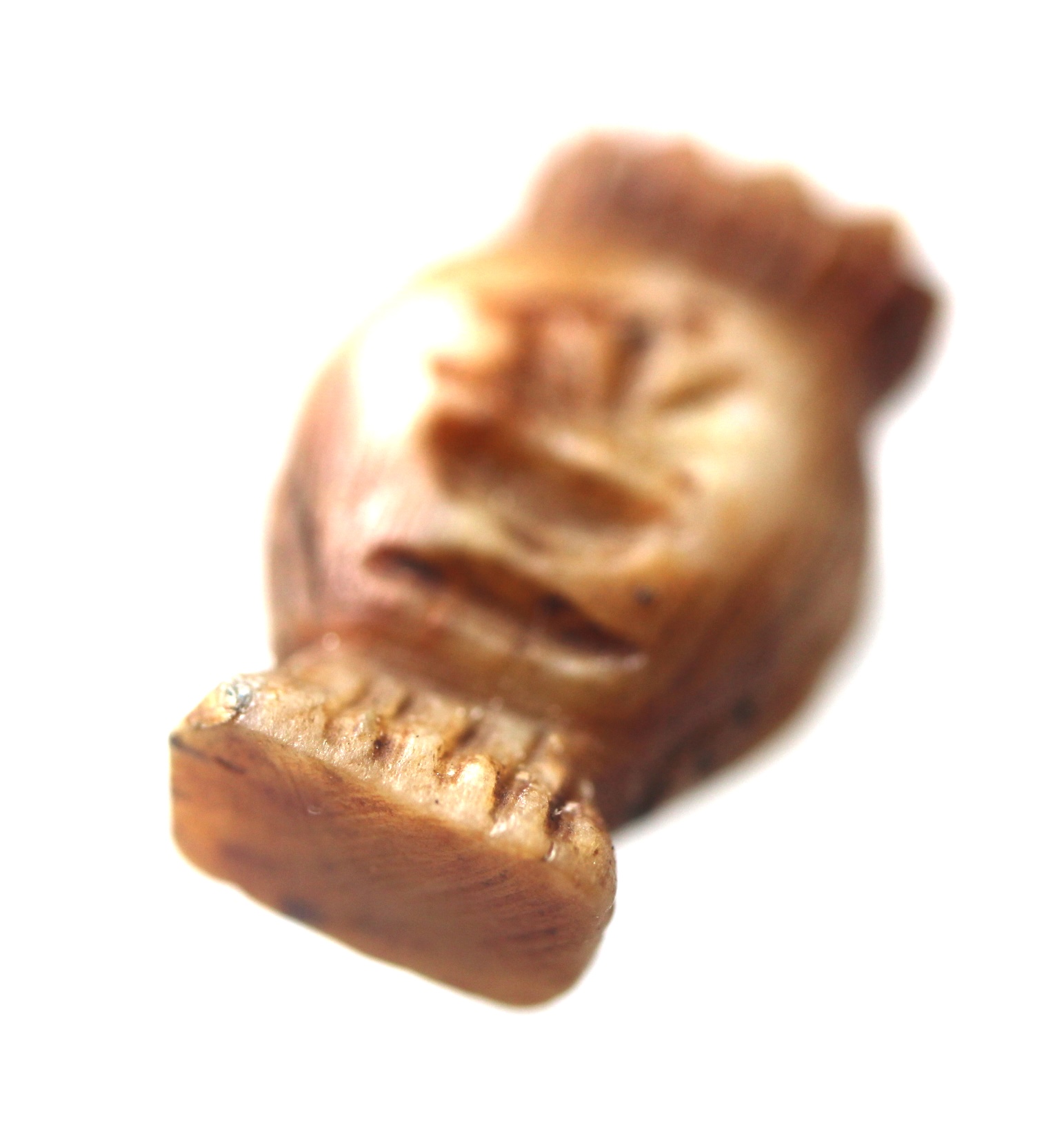 ANCIENT EGYPT. IVORY AMULET. TIME OF KING TUTANKHAMUN. 1340 B.C ...