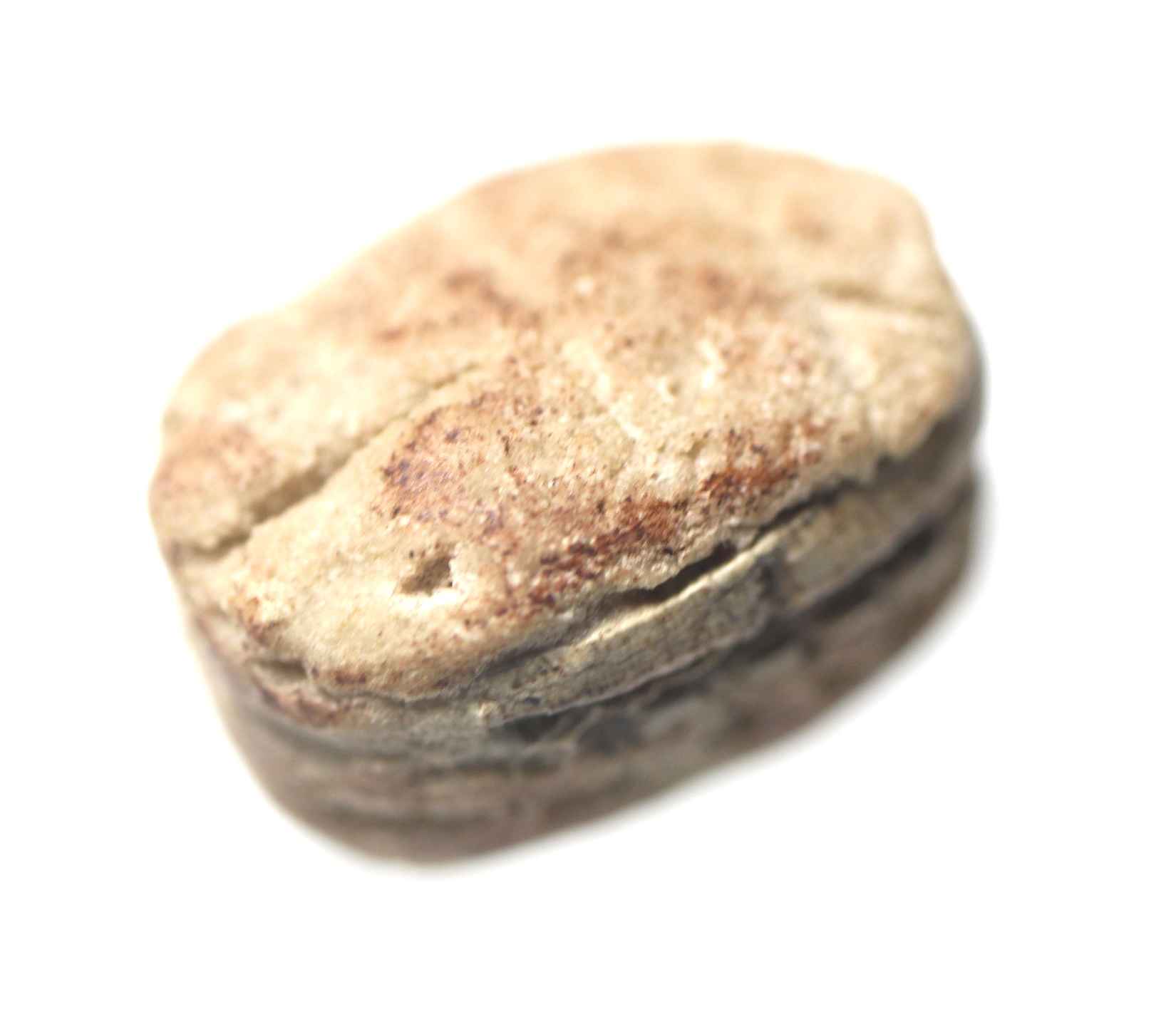 ANCIENT EGYPT. STONE SCARAB WITH LOTUS FLOWER 1400 - 1200 B.C NEW KINGDOM