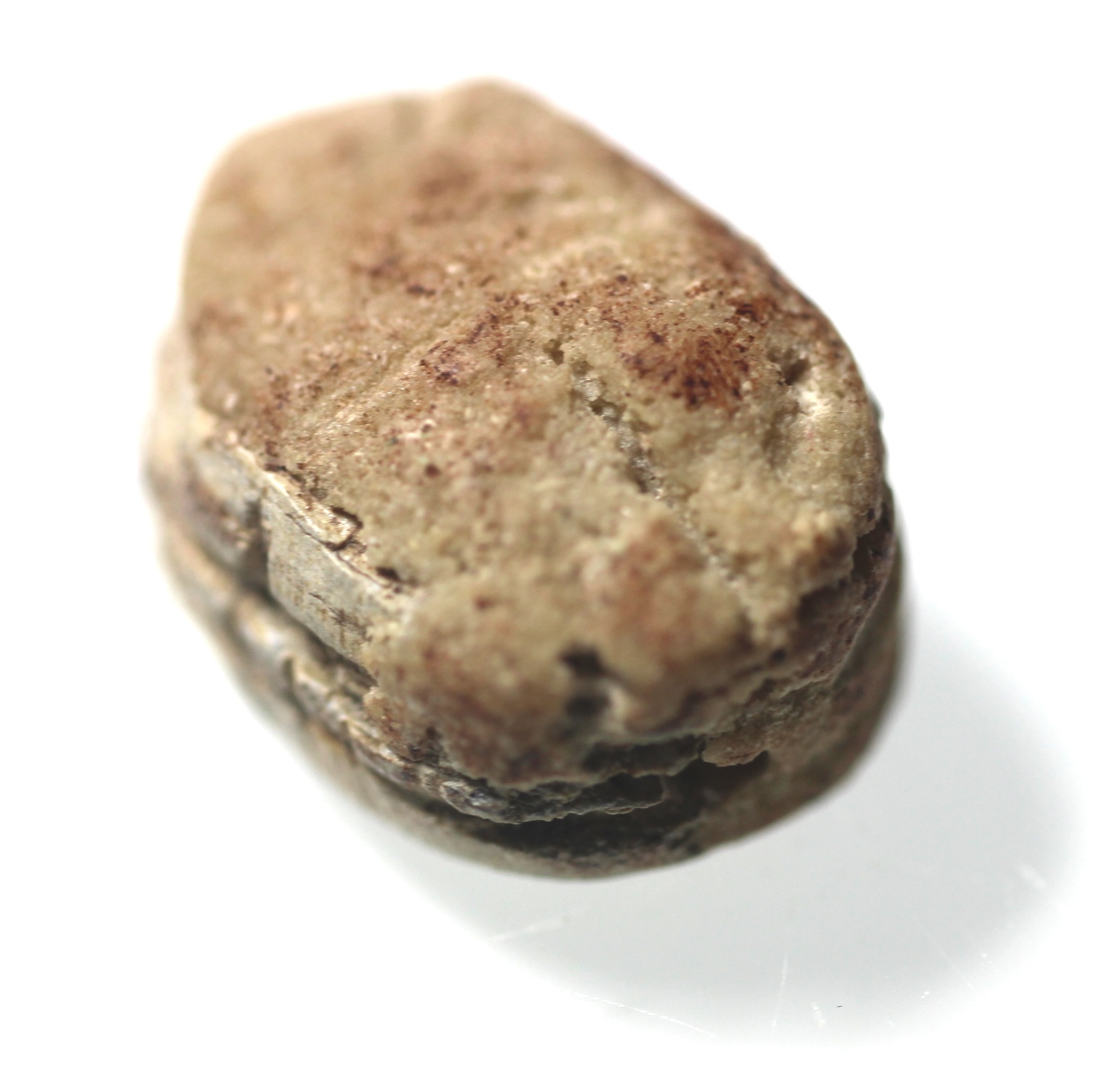 ANCIENT EGYPT. STONE SCARAB WITH LOTUS FLOWER 1400 - 1200 B.C NEW KINGDOM