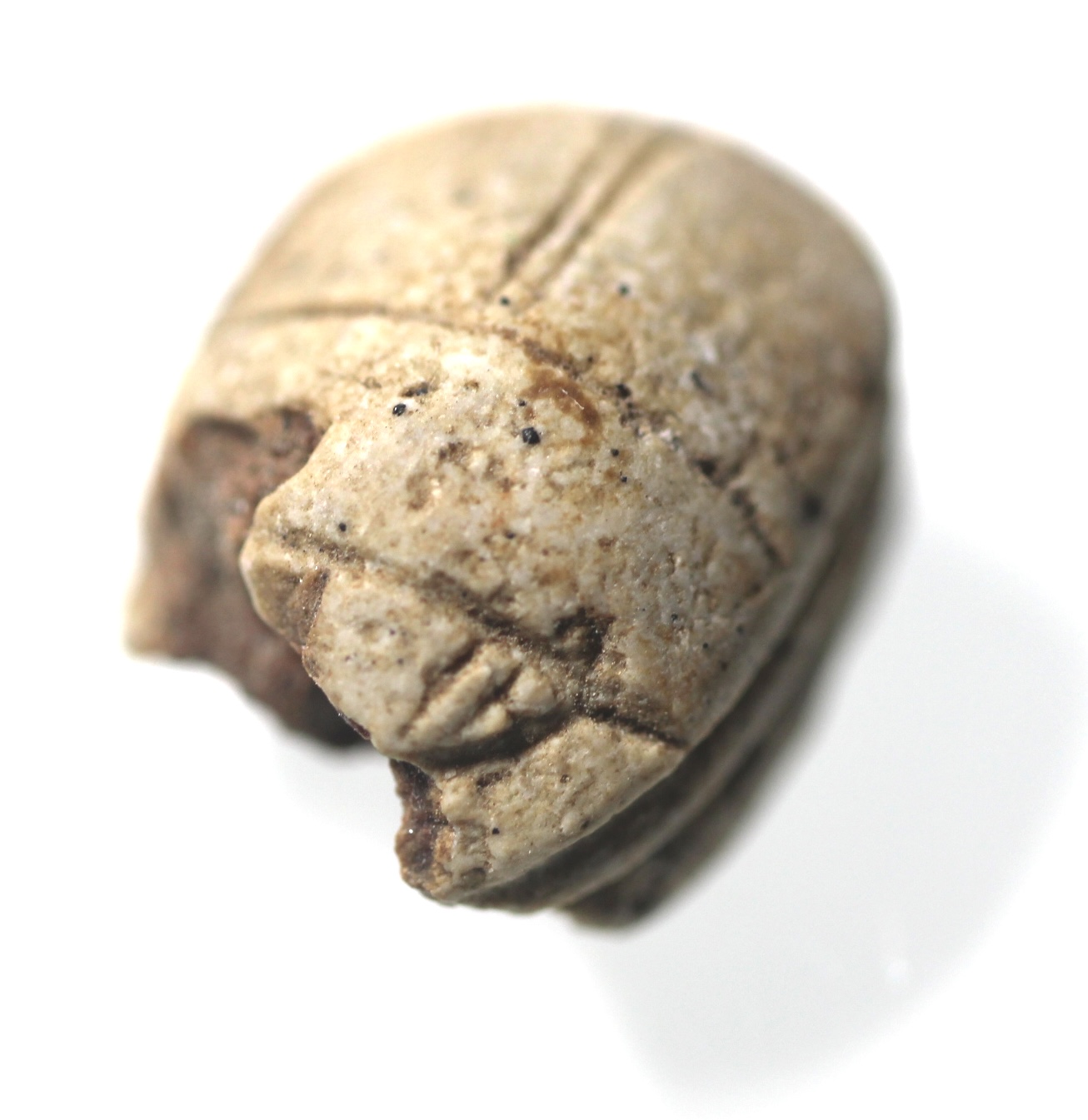 ANCIENT EGYPT. STONE SCARAB WITH LOTUS FLOWER 1400 - 1200 B.C NEW KINGDOM