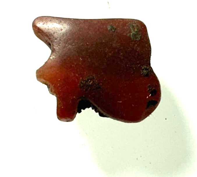 ANCIENT EGYPT . RED JASPER STONE EYE OF HORUS AMULET. 1400 - 1200 B.C ...