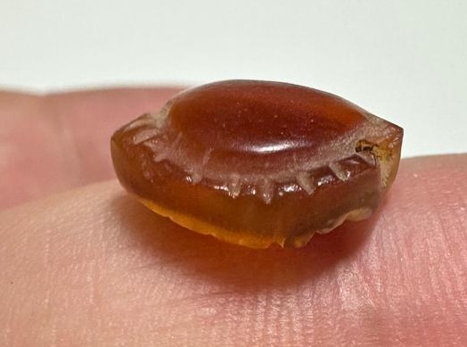 ANCIENT EGYPT. CARNELIAN SEA SHELL AMULET. 1250 B.C NEW KINGDOM