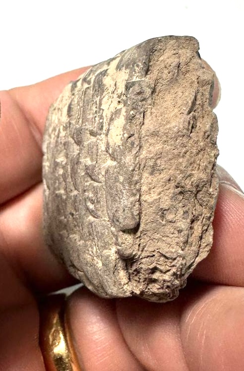Ancient Mesopotamian . Sumerian Clay cuneiform tablet. 2200 - 1900 BC