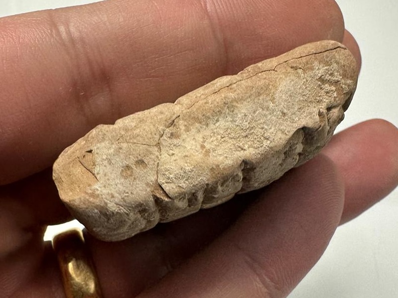 Ancient Mesopotamian . Sumerian Clay cuneiform tablet. 2200 - 1900 BC